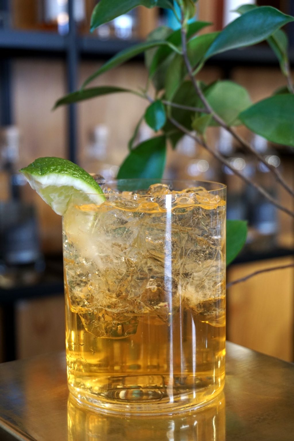 Cocktail Ginto - Distillerie des Marigots